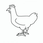 Cómo dibujar una Gallina | COMODIBUJAR.CLUB